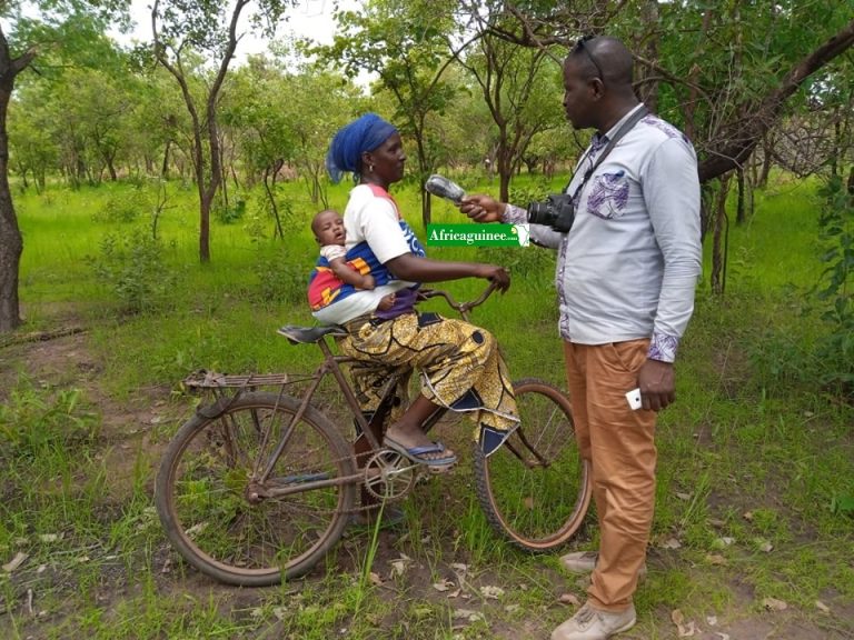 Koundara : immersion dans le Badiar, zone agricole par excellence ...