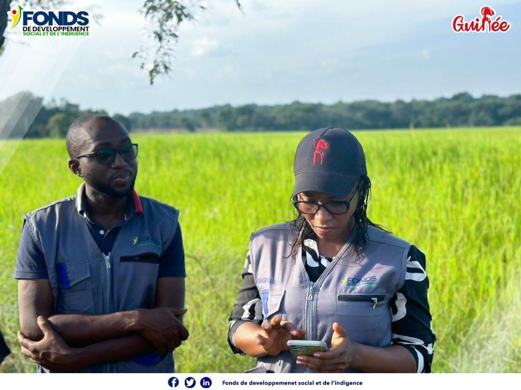 Faranah : Des émissaires du FDSI visitent les champs rizicoles aménagés en faveur des indigents ...