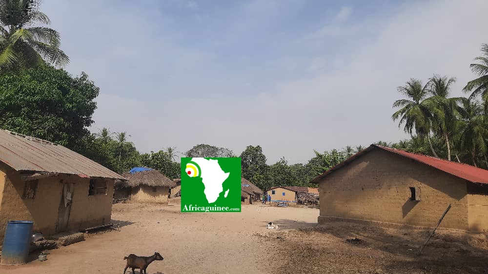 Boké/Kanfarandé : A la découverte de Kanoff, une île en manque de tout ...