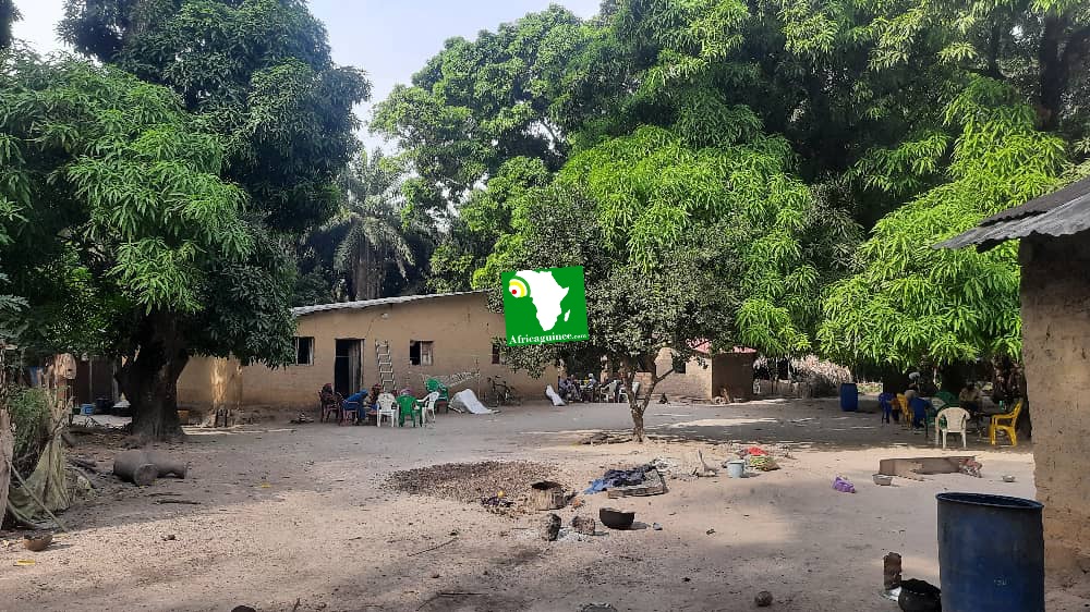 Boké/Kanfarandé : A la découverte de Kanoff, une île en manque de tout ...
