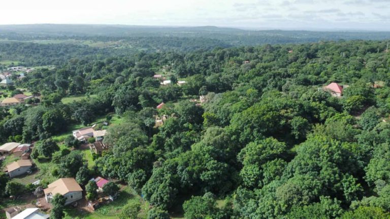 Lélouma : Un conflit domanial vire à l’affrontement entre deux villages ...