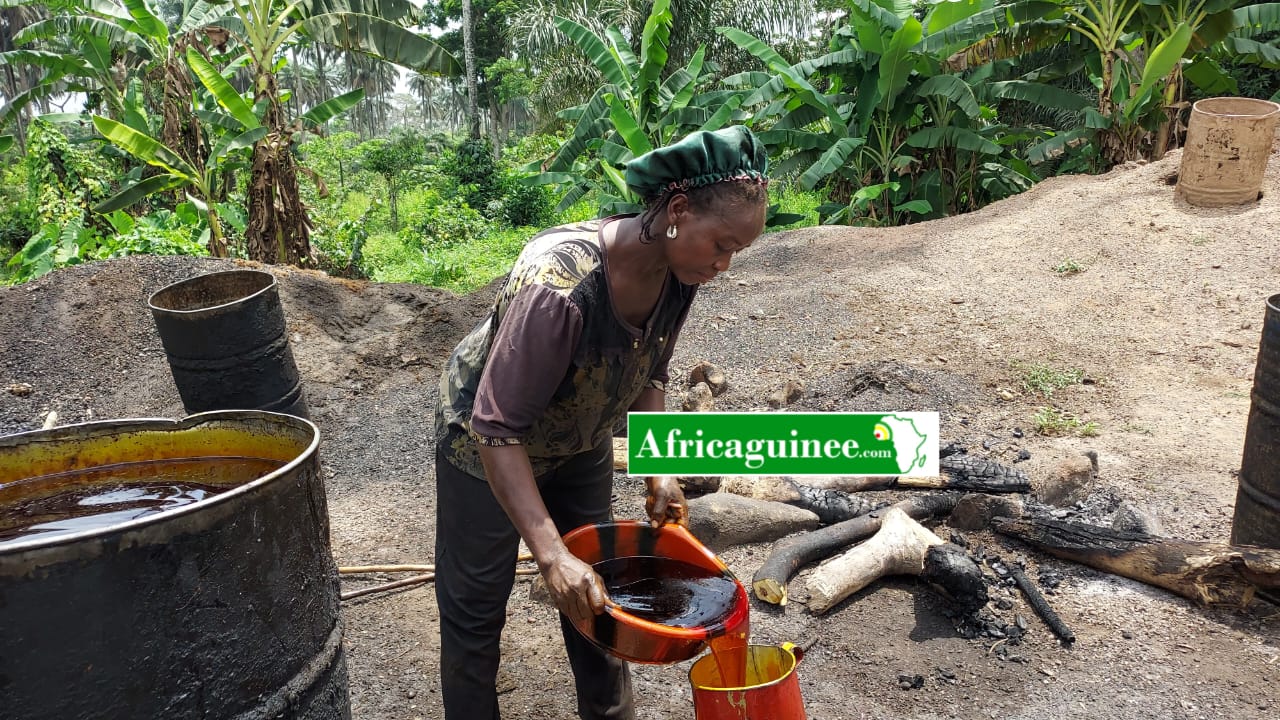 Sud de la Guinée : A la rencontre des « amazones » de Gbouo ...