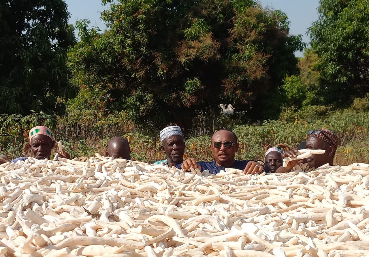 Autosuffisance alimentaire : le GOHA International s’active, l’appui du ...