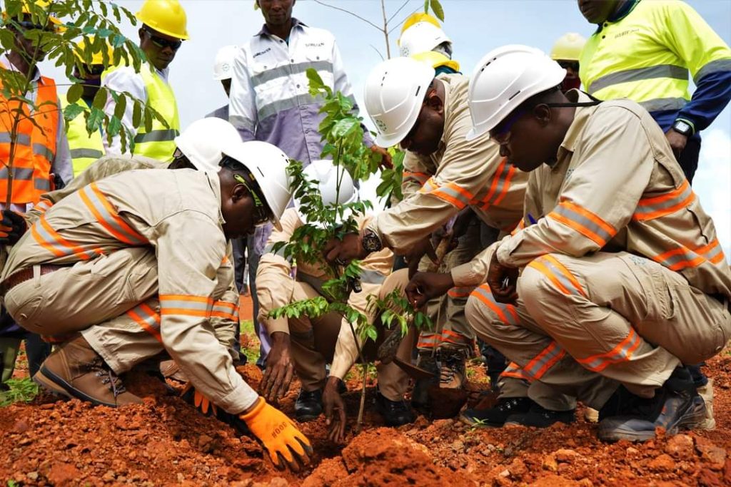 Environnement : La Compagnie des Bauxites de Guinée (CBG) lance la ...
