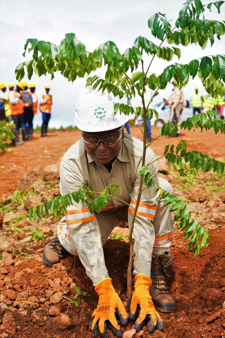 Environnement : La Compagnie des Bauxites de Guinée (CBG) lance la ...