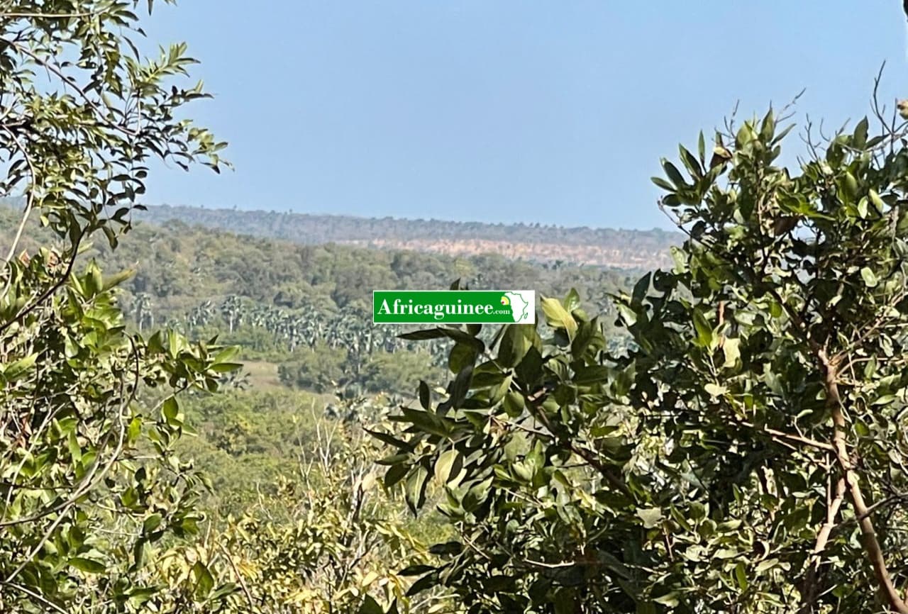 Capitaine Idrissa Diop, conservateur en chef de Koundara : « Pourquoi ...