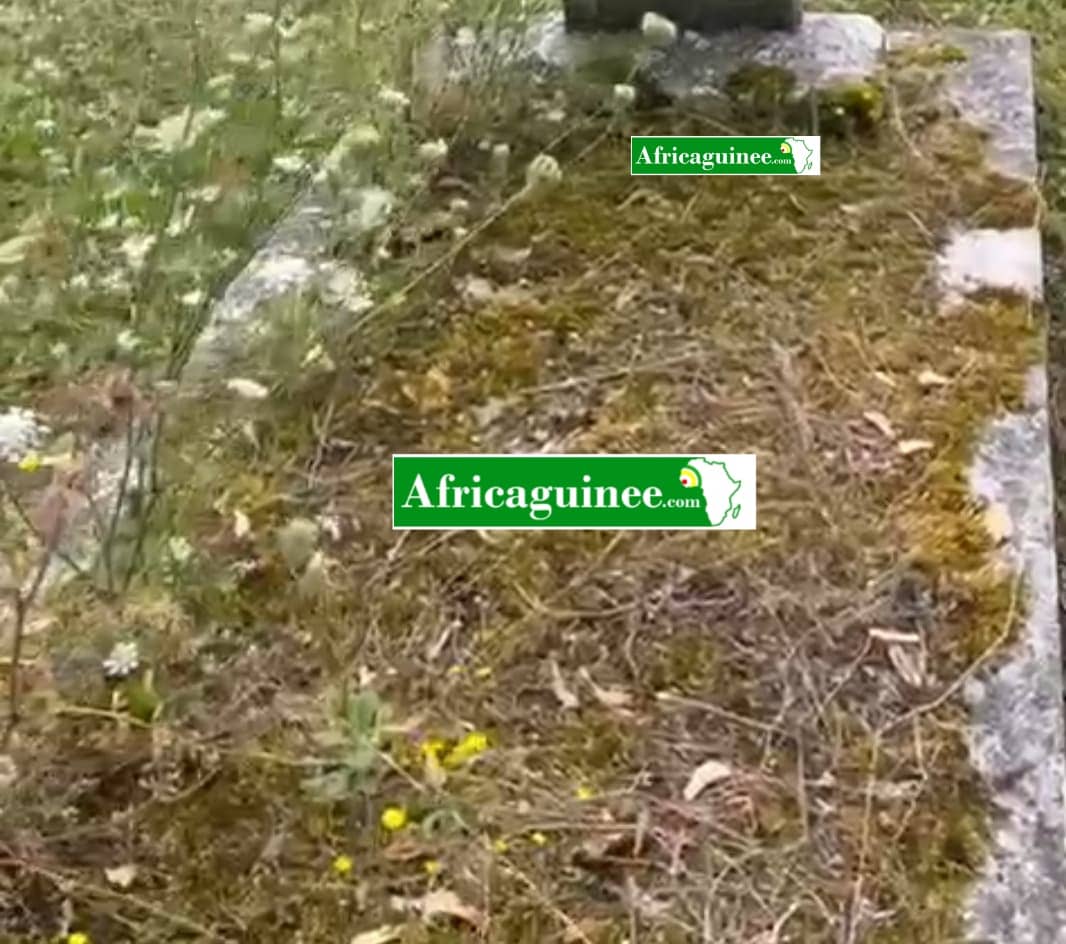 Sur les traces de l’artiste Bah Sadio: A la découverte de la tombe de l ...