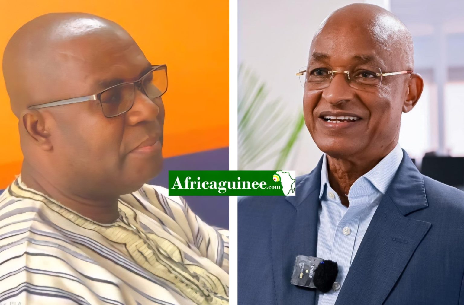 Dr. Faya apporte son soutien à l’UFDG : « ce qui est fait est ...