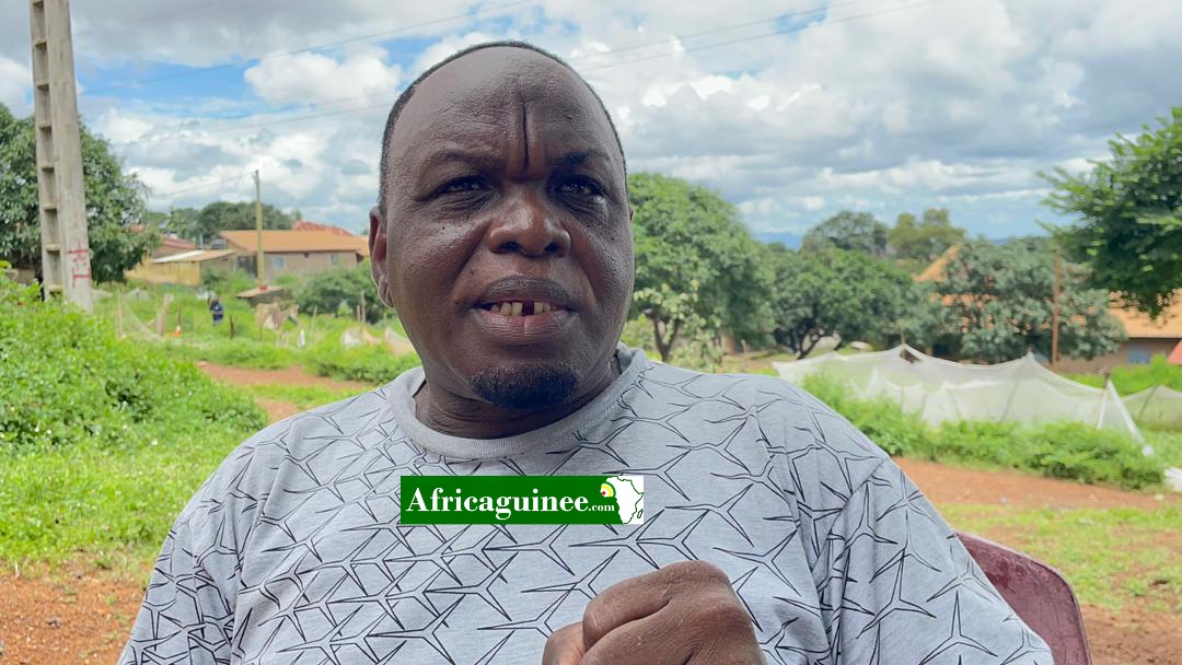 Le Nimba ou déesse de la « fécondité » : Tout savoir sur le masque du ...