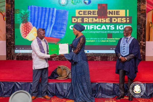Nouvelle ère pour le patrimoine guinéen : L’Ananas « Baronne » et le ...