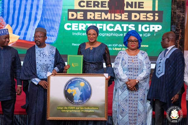 Nouvelle ère pour le patrimoine guinéen : L’Ananas « Baronne » et le ...