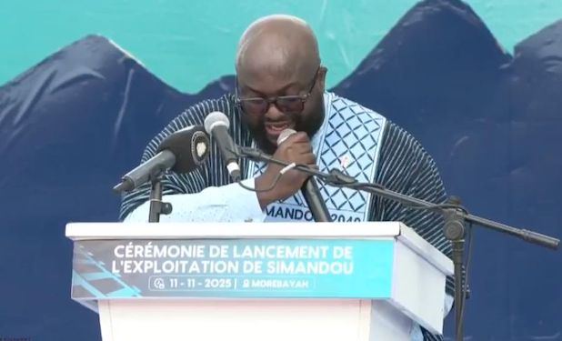 Djiba Diakité: “Simandou doit être pour nous ce que le pétrole a été pour les pays du Golfe ...